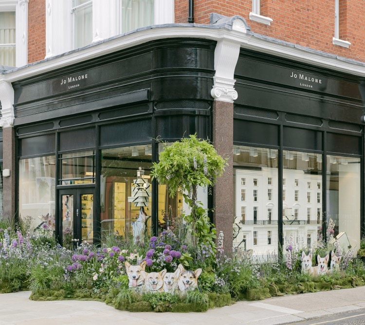 Summer and Spring Fragrances | Jo Malone London